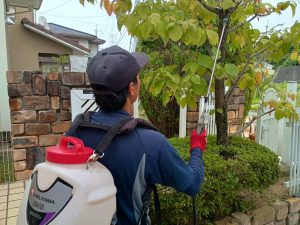 『樹木の年間お手入れサービス』 ご紹介 | お家のお困りごとはダスキンシーズへ